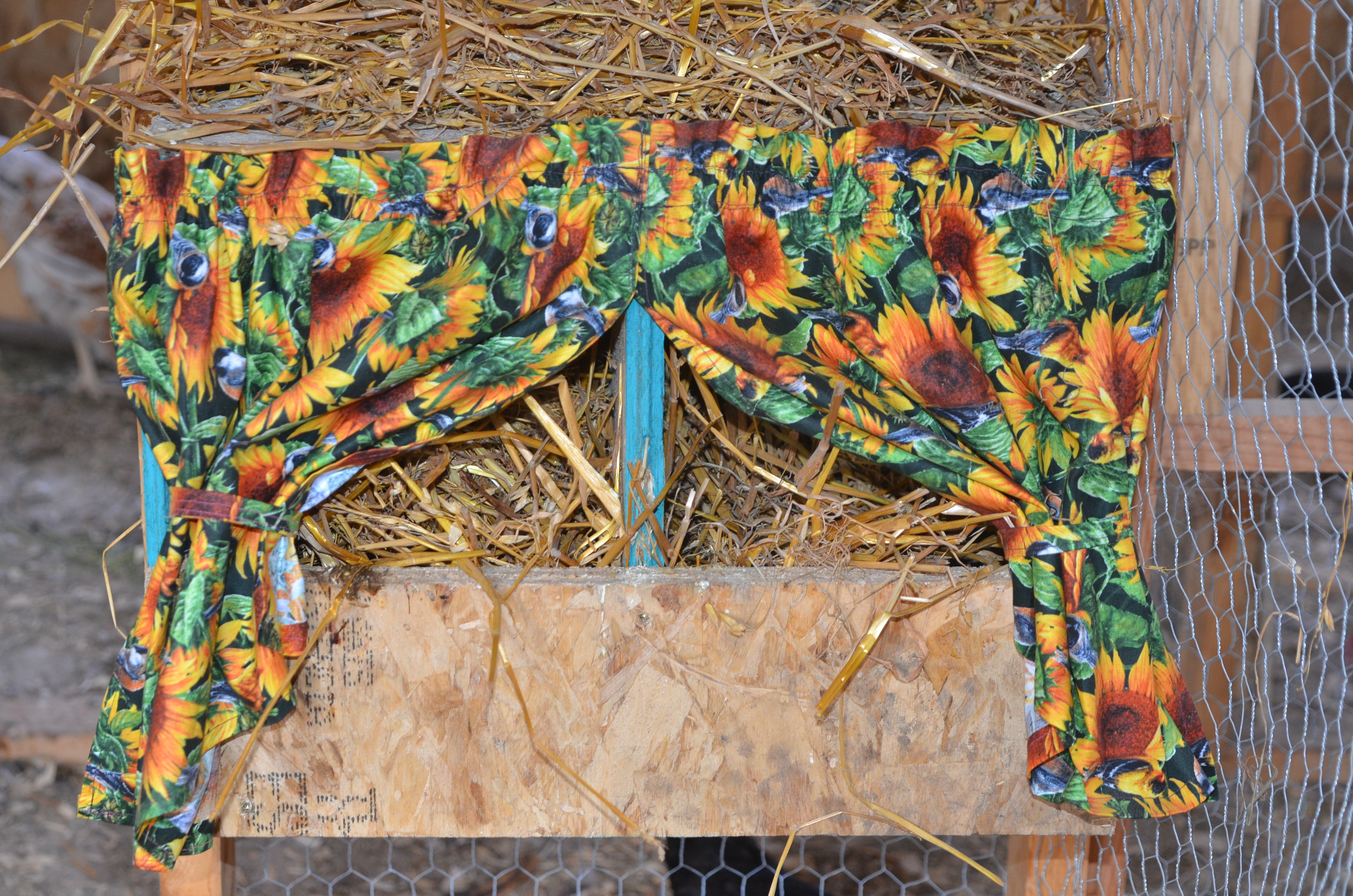 Poultry Nest Box Curtain – TarBox Hollow Poultry